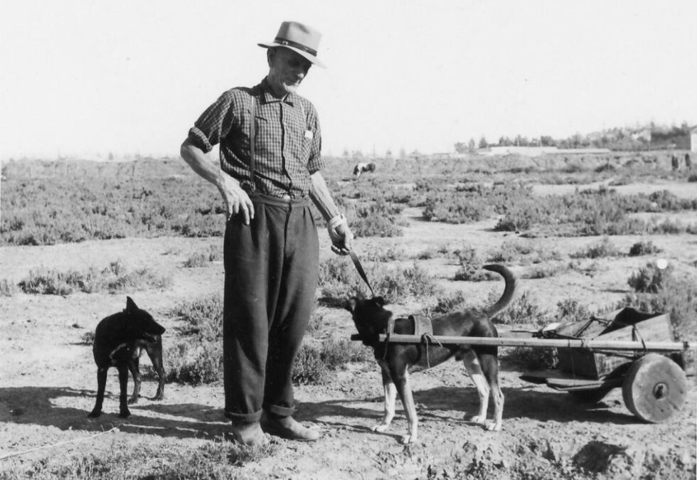 Bruce Gray (alias Saltbush Bill) - Henley and Grange Historical Society